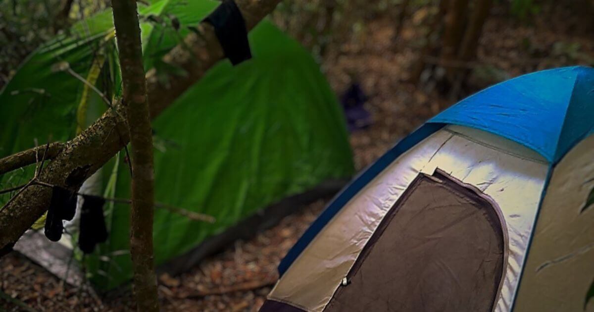 Ultimate Guide To Snake-Proof Your Campsite - peaksify.com